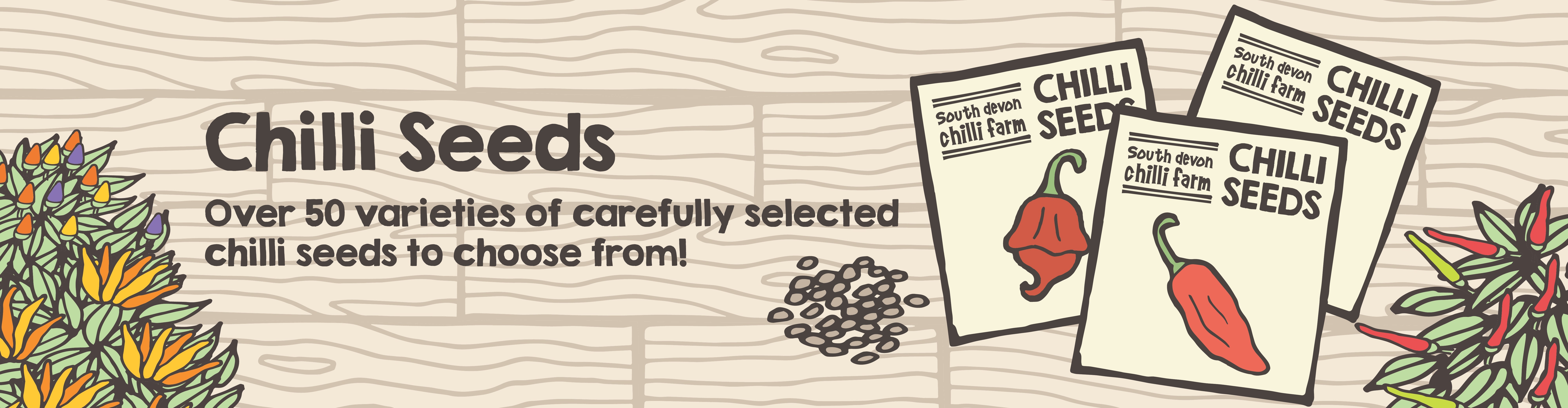 Packing Chilli Seeds at SDCF – South Devon Chilli Farm