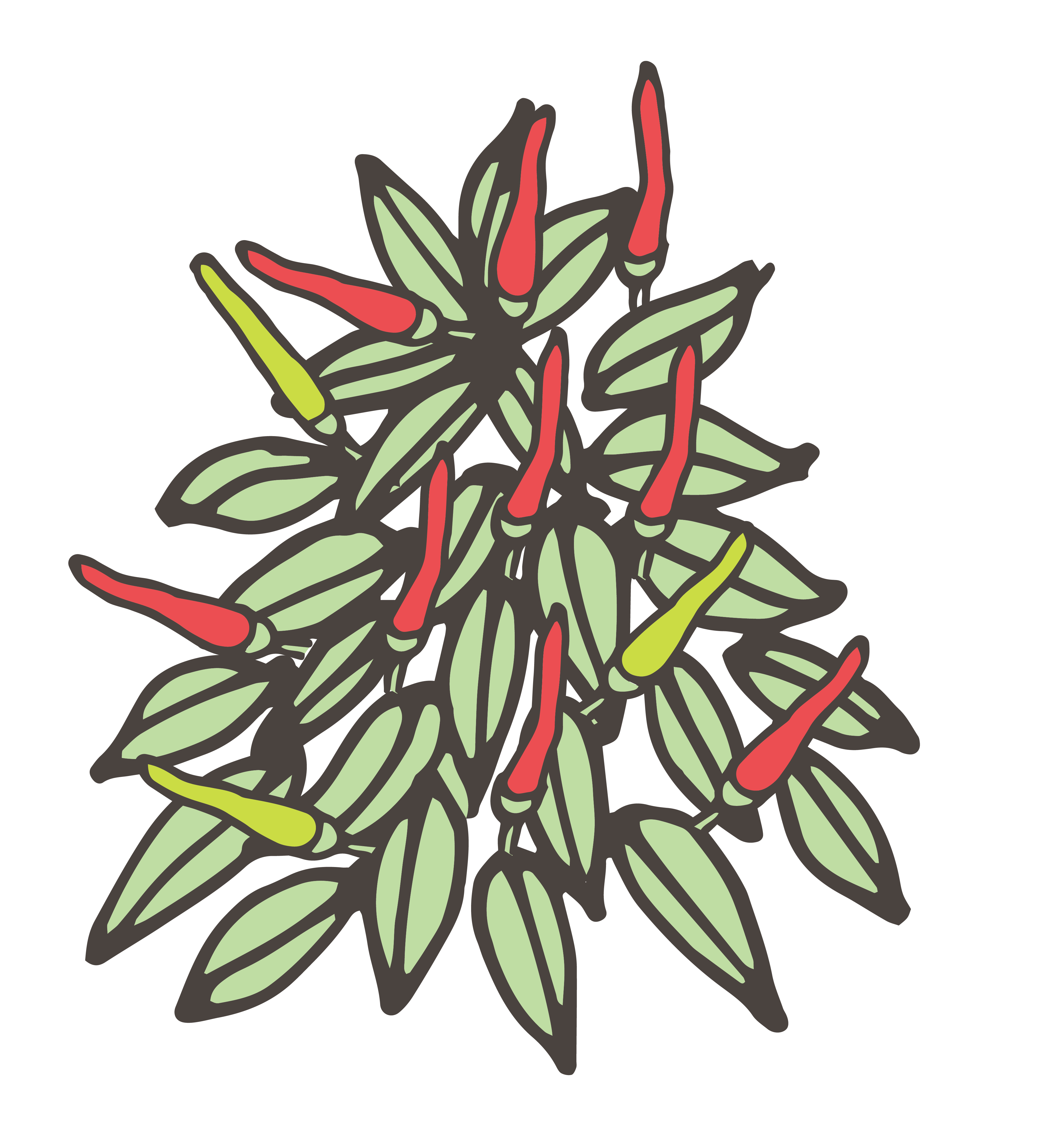 Stocking Fillers £5 & under – tagged "heat-mild" – South Devon Chilli Farm