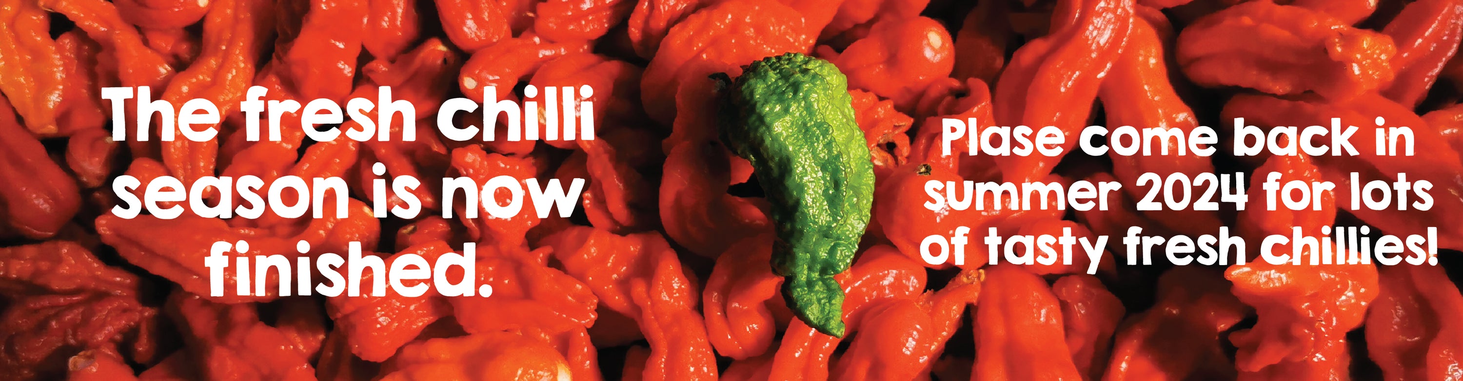 Fresh Chillies – tagged "heat-medium" – South Devon Chilli Farm