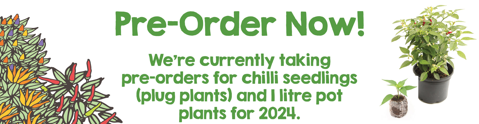 South Devon Chilli Farm