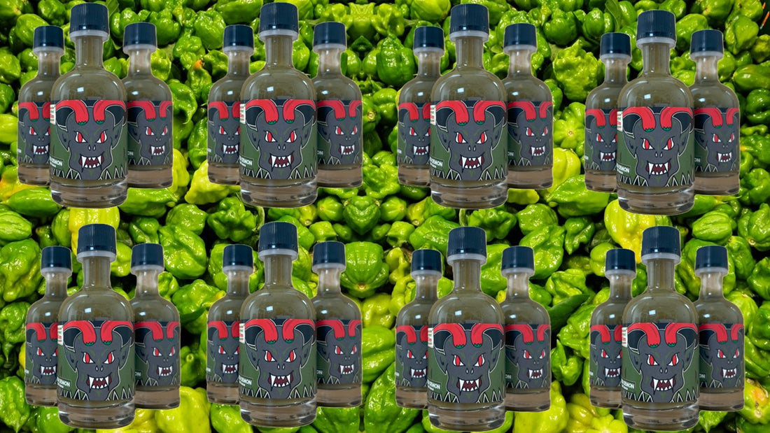 South Devon Chilli Farm