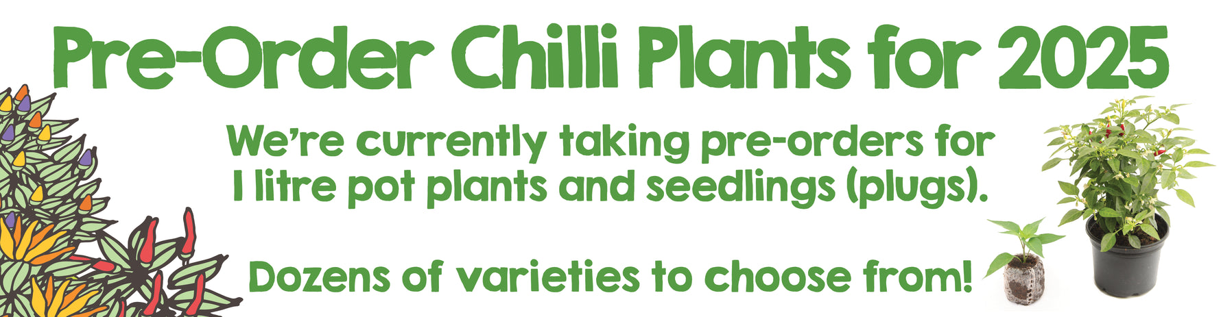 Chilli Pot Plants – tagged "Pot Plants" – South Devon Chilli Farm