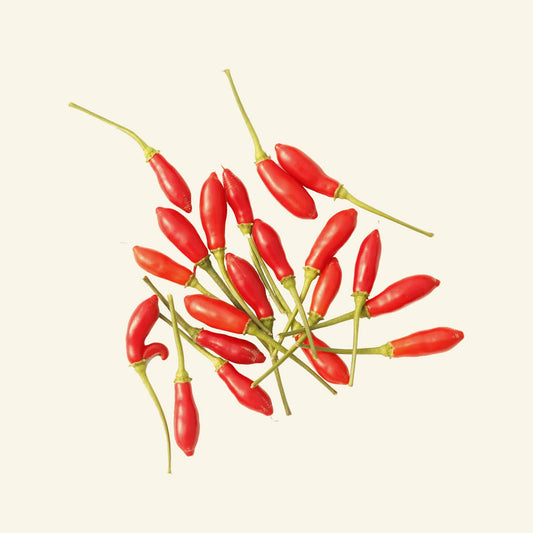 Fresh Chillies#N# – tagged "heat-hot" – South Devon Chilli Farm