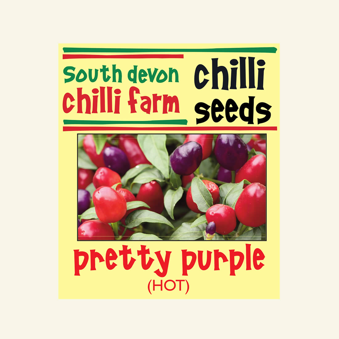 Pretty Purple Chilli Seeds – South Devon Chilli Farm